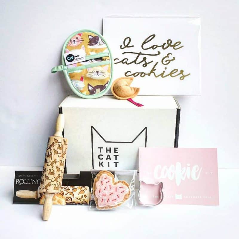 6 Best Cat Subscription Boxes - Earn Spend Live
