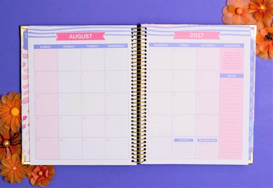 Bloom Daily Planners: Vision Planner Review - Earn Spend Live